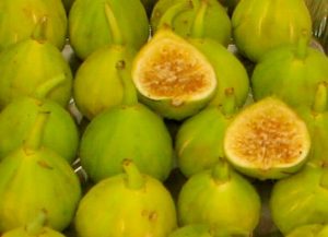 Variedades de higos: Nombres, tipos y origen